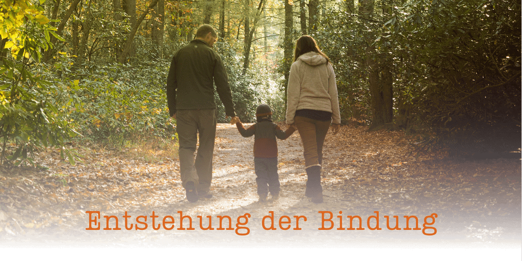 Bindungstypen und ihre Auswirkungen auf Beziehungen